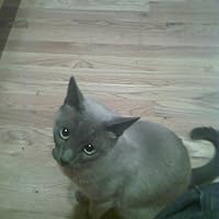 Russell the Sheep by Rob Scotton | Goodreads