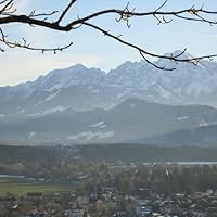 Pigs and Honey by Jeanie Adams | Goodreads