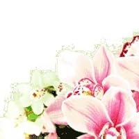 Fledgling (Jason Steed, #1) by Mark A. Cooper | Goodreads