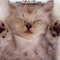 Look! I Can Read! (Penguin Young Readers, Level 2) by Susan Hood ...