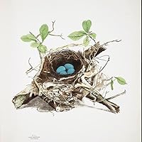 Breaking Twig by Deborah Epperson | Goodreads