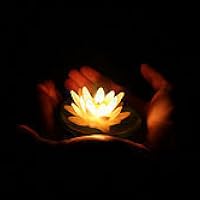 Born of the Sun: A Namibian Novel by Joseph Diescho | Goodreads