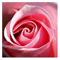 Muchacho by LouAnne Johnson | Goodreads