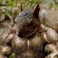 Zac Power Ultimate Mission by H.I. Larry | Goodreads