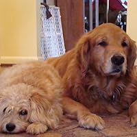 The One and Only Stuey Lewis: Stories from the Second Grade by Jane ...