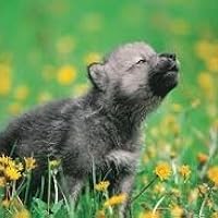 Escape the Mask (The Grassland Trilogy, #1) by David Ward | Goodreads