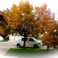 Worldwide Evil and Misery - The Legacy of the 13 Satanic Bloodlines by ...