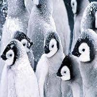 Gargoyles of Gaylord (Michigan Chillers, #5) by Johnathan Rand | Goodreads