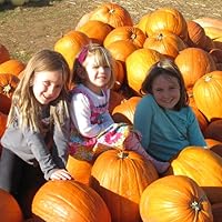 Aidan of Oren: The Journey Begins by Alan St. Jean | Goodreads