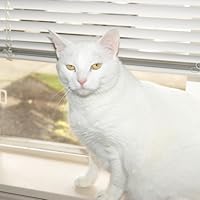 Pretty Little Mistakes (Do-Over, #1) by Heather McElhatton | Goodreads