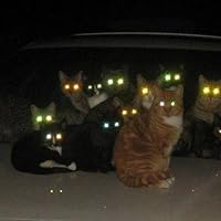 The Cutmouth Lady by Romy Ashby | Goodreads