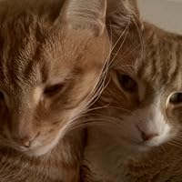 A Journey to the New World: The Diary of Remember Patience Whipple ...