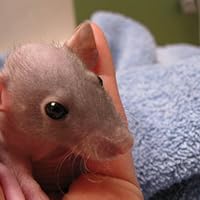 Bats Sing, Mice Giggle: The Surprising Science of Animals' Inner Lives ...