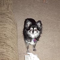 Unholy Creations (The Associates, #1) by C. Shell | Goodreads