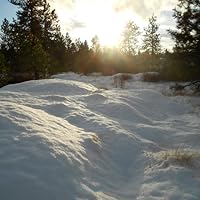 Sastun: My Apprenticeship with a Maya Healer by Rosita Arvigo | Goodreads