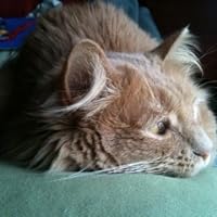 Ruin of Stars (Mask of Shadows, #2) by Linsey Miller | Goodreads