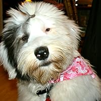 Dawn Of Desire by Joyce Verrette | Goodreads