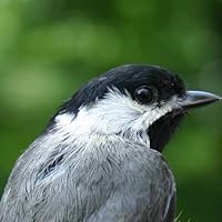 Reduced (Reduced #1) by Robin Tidwell | Goodreads