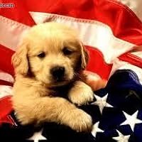 Aliens in Disguise by Clete Barrett Smith | Goodreads