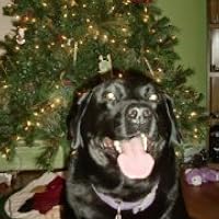 The Amazon Code (Harvey Bennett #2) by Nick Thacker | Goodreads