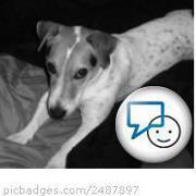 Without Mercy by Lisa Jackson | Goodreads