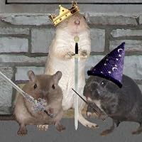 Like Pickle Juice on a Cookie (Eleanor, #1) by Julie Sternberg | Goodreads