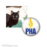 Wolfsbane Investigations: The Complete 5-Books Series by Clara Kendrick ...