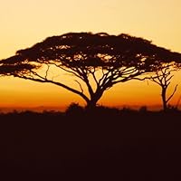 Where There Is No Doctor: A Village Health Care Handbook by David ...