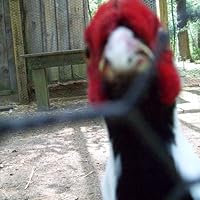 Creepy: A Collection of Scary Stories by Jeff Bennington | Goodreads