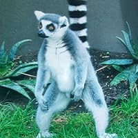 Pankration by Dyan Blacklock | Goodreads