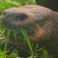 The Idea Factory: Bell Labs and the Great Age of American Innovation by ...