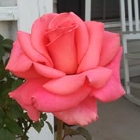 Eroma by Piers Anthony | Goodreads