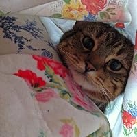 Bad Girls by Rebecca Chance | Goodreads