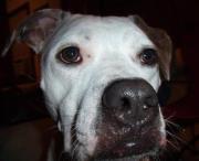 Saving Babylon: Beginnings (Saving Babylon, #1) by Pyxi Rose | Goodreads