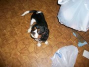 Contractual Obligations by Elle Rivers | Goodreads