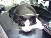 Inconceivable by Ben Elton | Goodreads