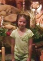 The Adventures of Huckleberry Finn by Joanne Gise | Goodreads