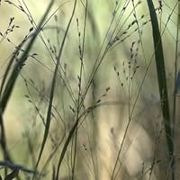 Alien Tango (Katherine "Kitty" Katt, #2) by Gini Koch | Goodreads