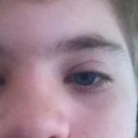 Parasite Pig (Interstellar Pig, #2) by William Sleator | Goodreads