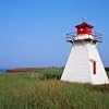 Albion's Seed: Four British Folkways in America by David Hackett Fischer