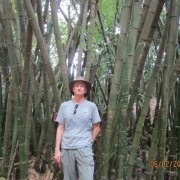 Dance on the Wind by Terry C. Johnston | Goodreads