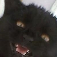 Snowtown: The Bodies In Barrels Murders: The Grisly Story of Australia ...