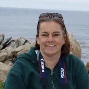 The Glass Harmonica: A Lexicon of the Fantastical by Barbara Ninde ...