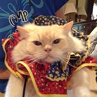 438 Days: An Extraordinary True Story of Survival at Sea by Jonathan ...