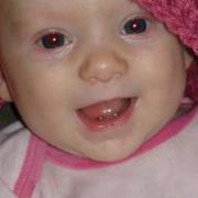 Mammals at Your Fingertips by Judy Nayer | Goodreads