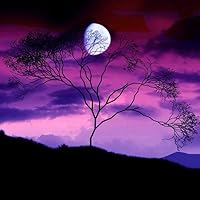 The Dibbuk Box by Jason Haxton | Goodreads