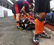 My Cat Maisie by Pamela Allen | Goodreads