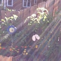 Who Was Rachel Carson? by Sarah Fabiny | Goodreads