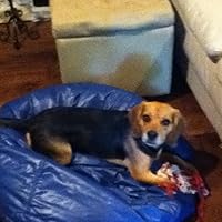 Hero by S.L. Rottman | Goodreads