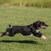 Clive Cussler Desolation Code by Graham Brown | Goodreads